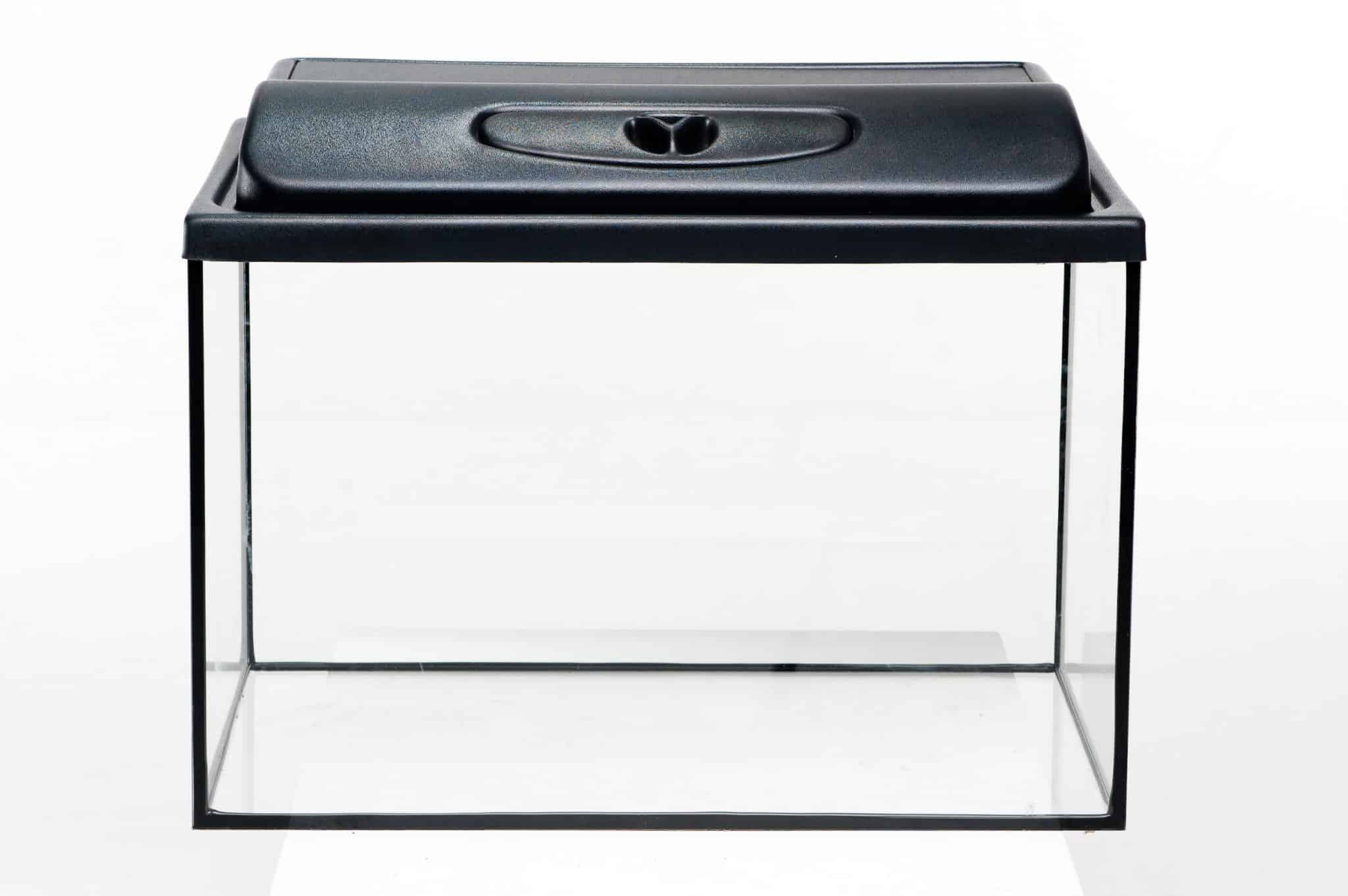 Aquarium Tanks | Ultimate Guide to Types of Fish Tanks - Fish Laboratory