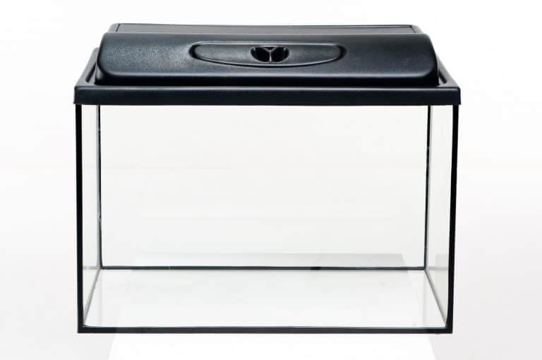 Best Aquarium Water Conditioner: The Ultimate Guide - Fish Laboratory