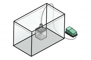 Aquarium Air Pump: Best Air Pump for Fish Tanks & More - Fish Laboratory