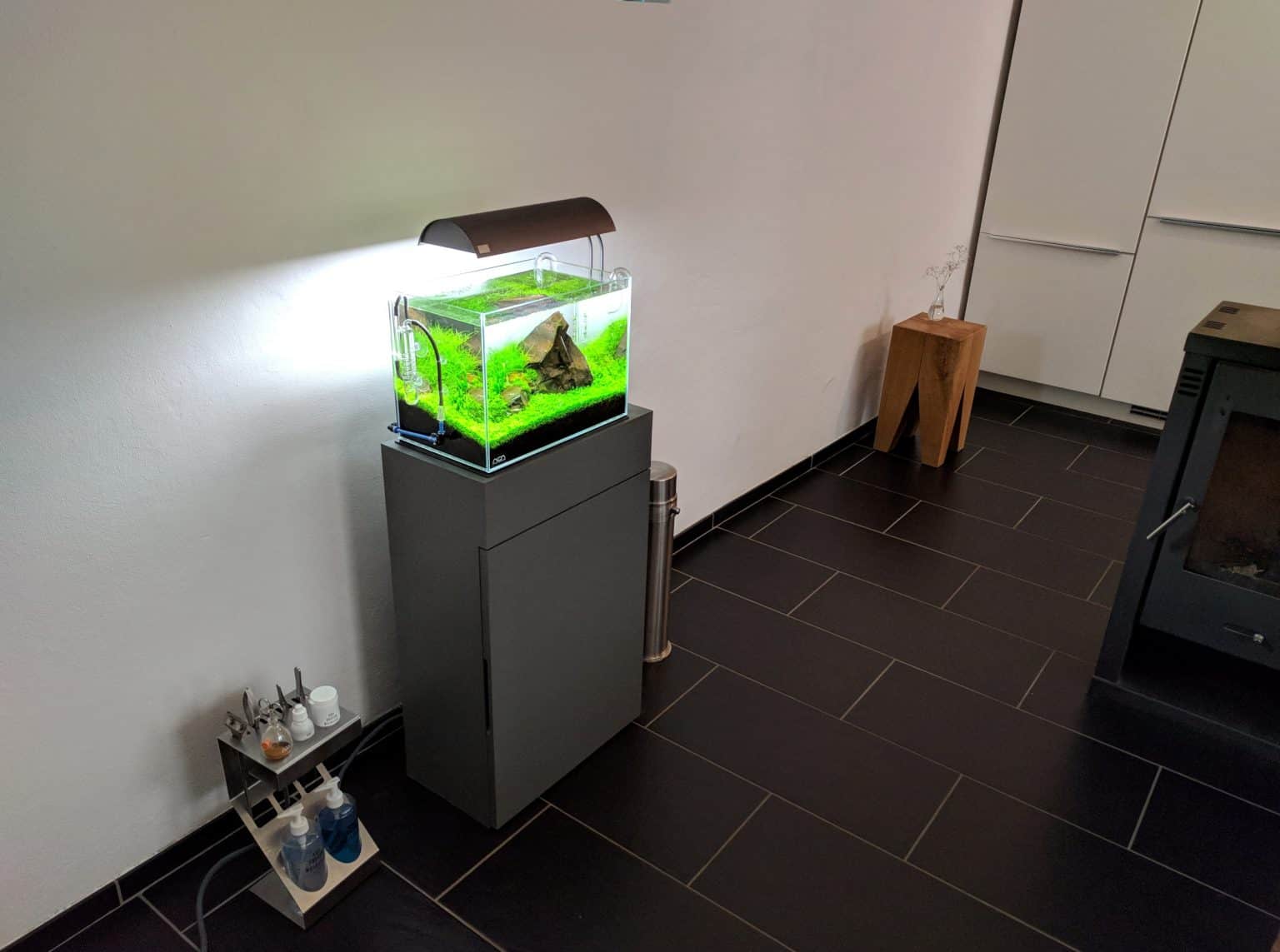 Aquascaping an Aquarium: Guide to Aquascape Styles & More - Fish Laboratory