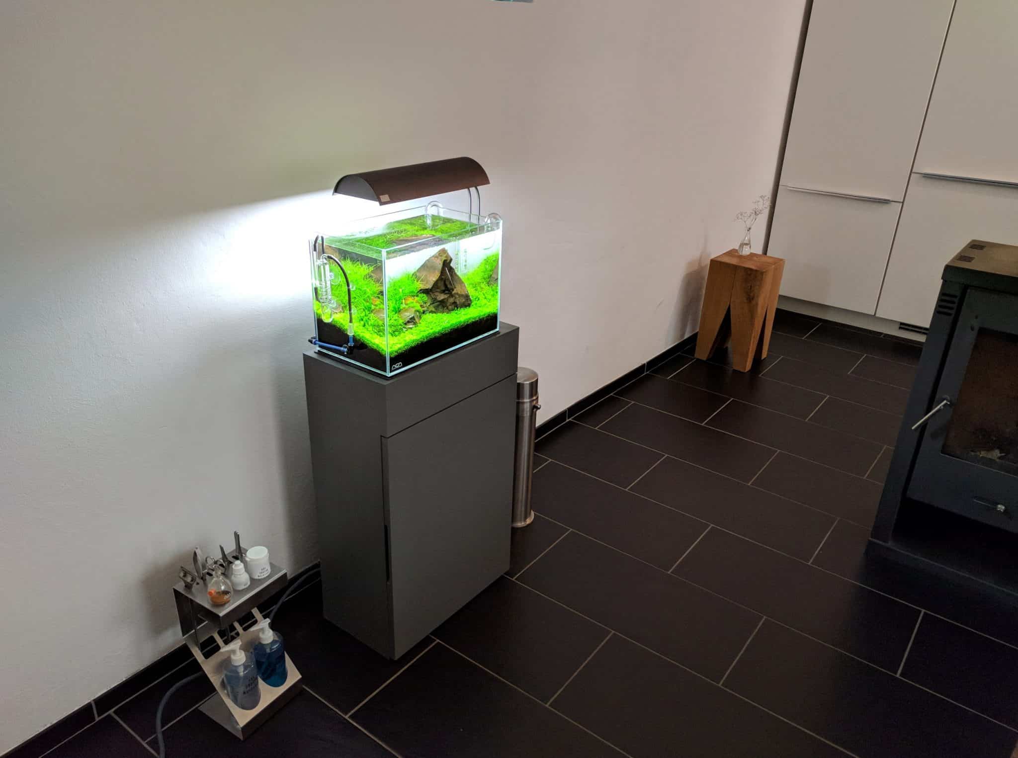 Aquascaping an Aquarium: Guide to Aquascape Styles & More - Fish Laboratory