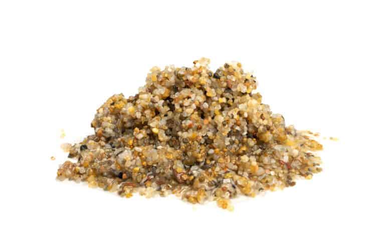 Best Aquarium Substrate: Guide to Gravel, Sand, Soil & More - Fish ...