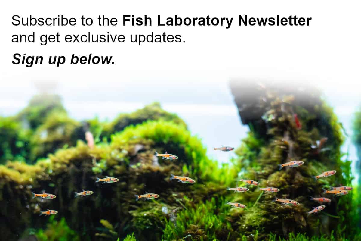 Subscribe - Fish Laboratory