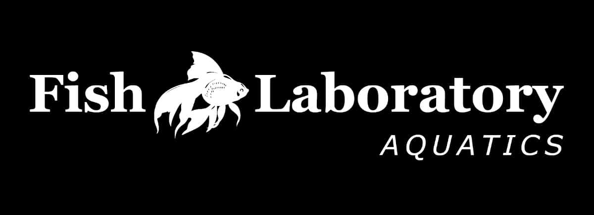Blog - Fish Laboratory
