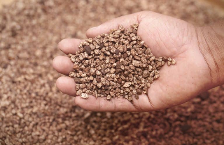 Top 9 Best Planted Aquarium Substrate: The Ultimate Guide - Fish Laboratory