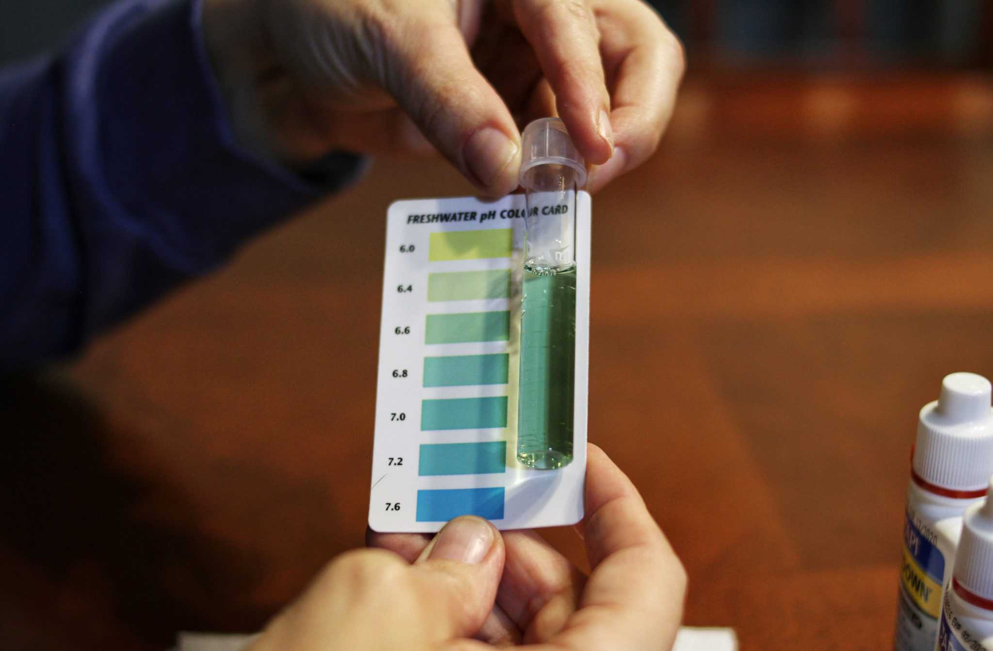 How to Lower pH in an Aquarium - Fish Laboratory